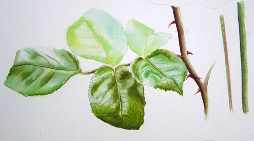 December 2013 Archives Watercolor Paintings Commissions Videos DVD Lessons Oil Paintings December 2013 Archives Watercolor Paintings Commissions Videos DVD Lessons Oil Paintings