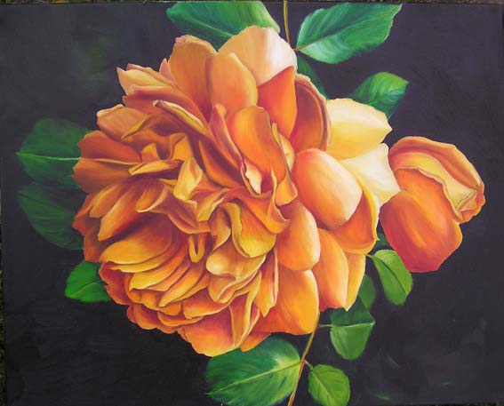 Rose Golden Celebration - oil painting by Doris Joa - Watercolor & Oil ...