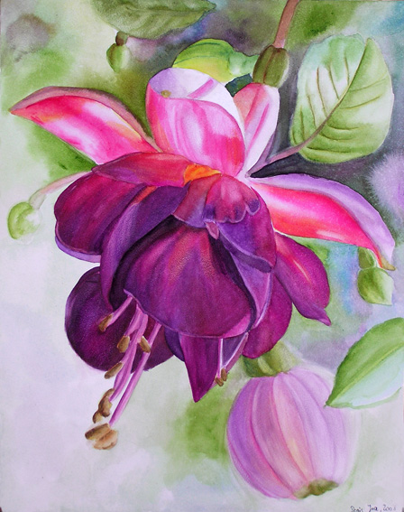 fuchsia flower art/paintings on Pinterest | Watercolor Painting ...