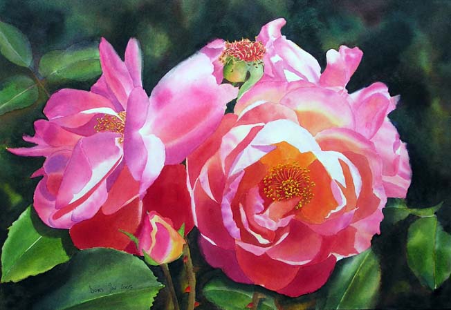 Rose Bonita Renaissance - Watercolor & Oil Paintings of Roses and ...