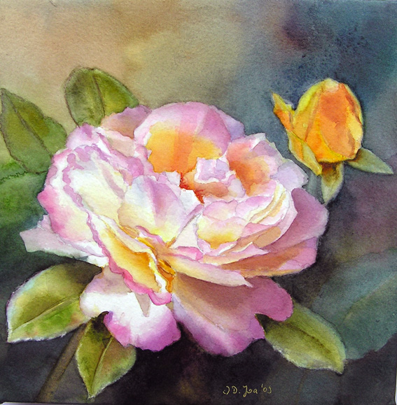 rose-gloria-dei-8x8-watercolor-oil-paintings-of-roses-and-flowers