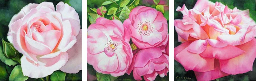pink roses in watercolor by Doris Joa - Watercolor & Oil Paintings of ...