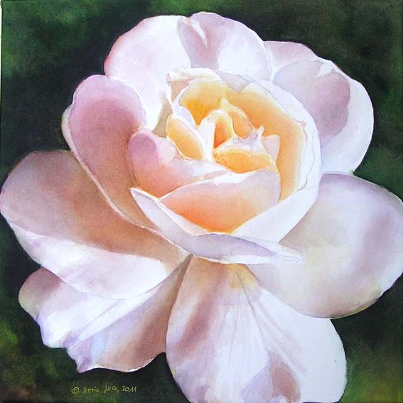 White rose in watercolor by Doris Joa - Watercolor & Oil Paintings of ...
