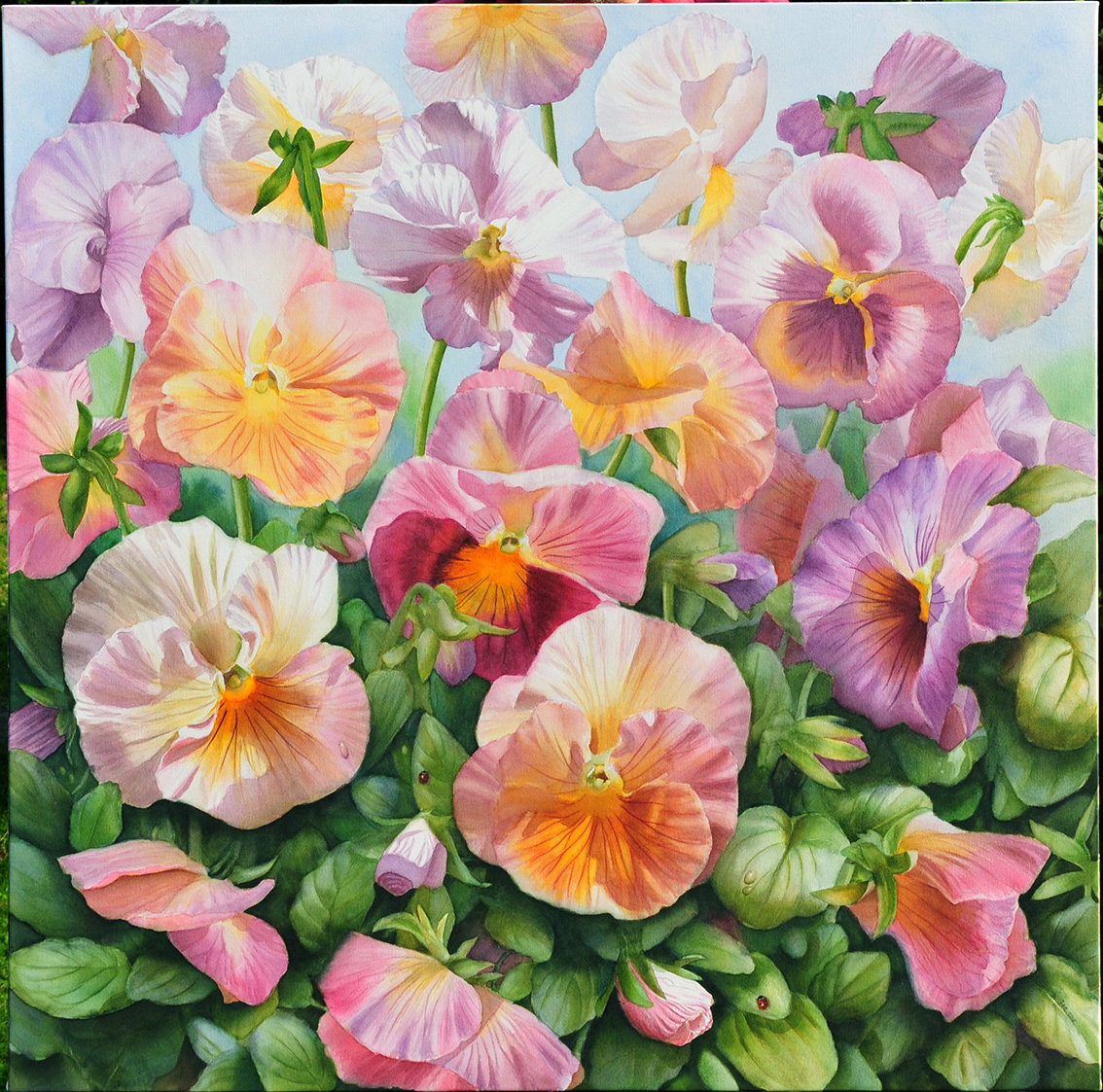 Pansies in Watercolor by Doris Joa - Watercolor & Oil Paintings of ...