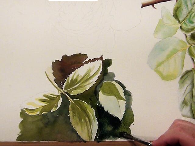 How to paint leaves in watercolor on flowers and roses