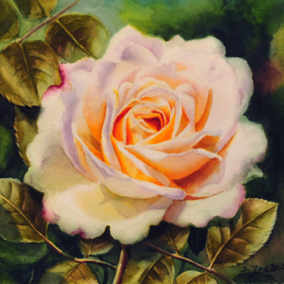 white rose dvd 8x8_bearbeitet-1 - Watercolor & Oil Paintings of Roses ...
