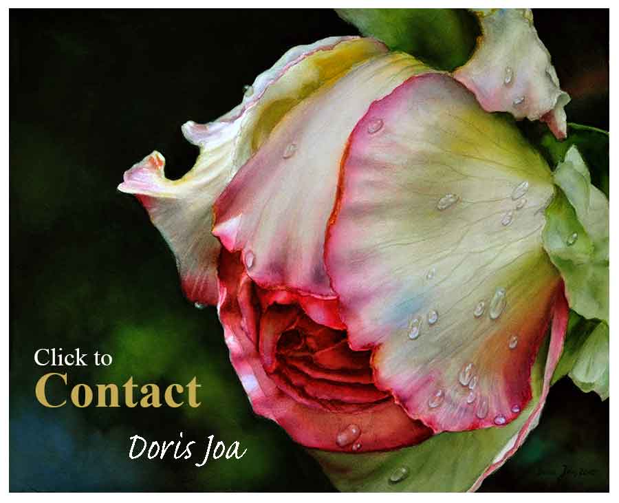 Contact Doris Joa - Watercolor & Oil Paintings of Roses and Flowers ...