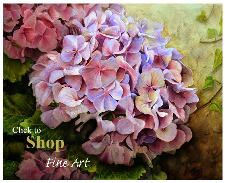 Shop Fine Art by Doris Joa - Watercolor & Oil Paintings of Roses and ...